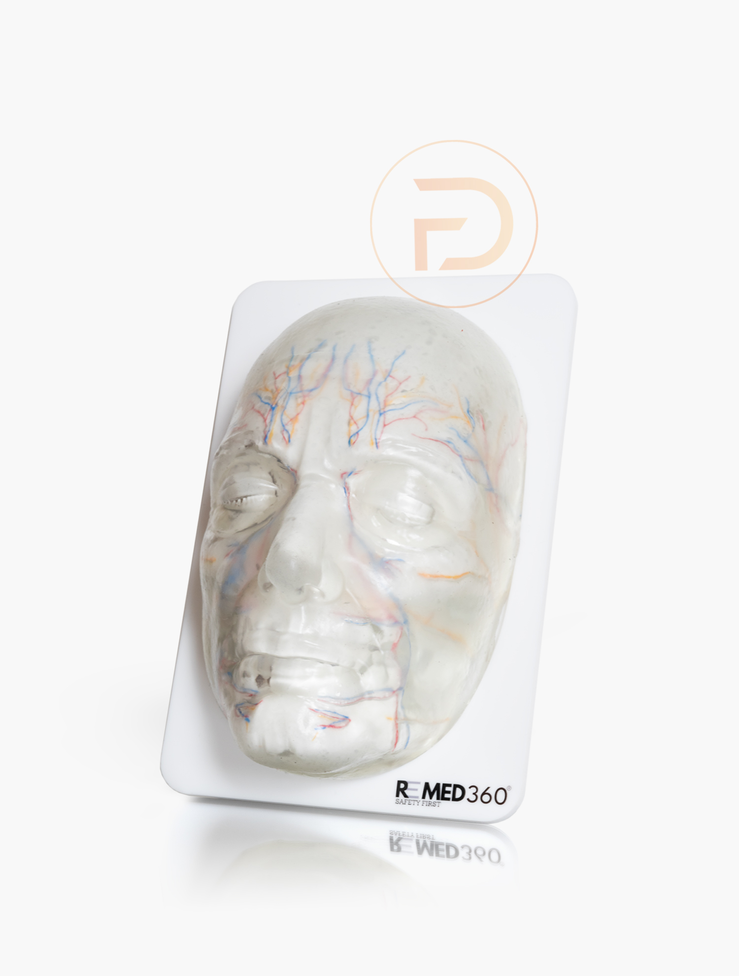 Full Face with blood vessels and veins injection training model (vein ...